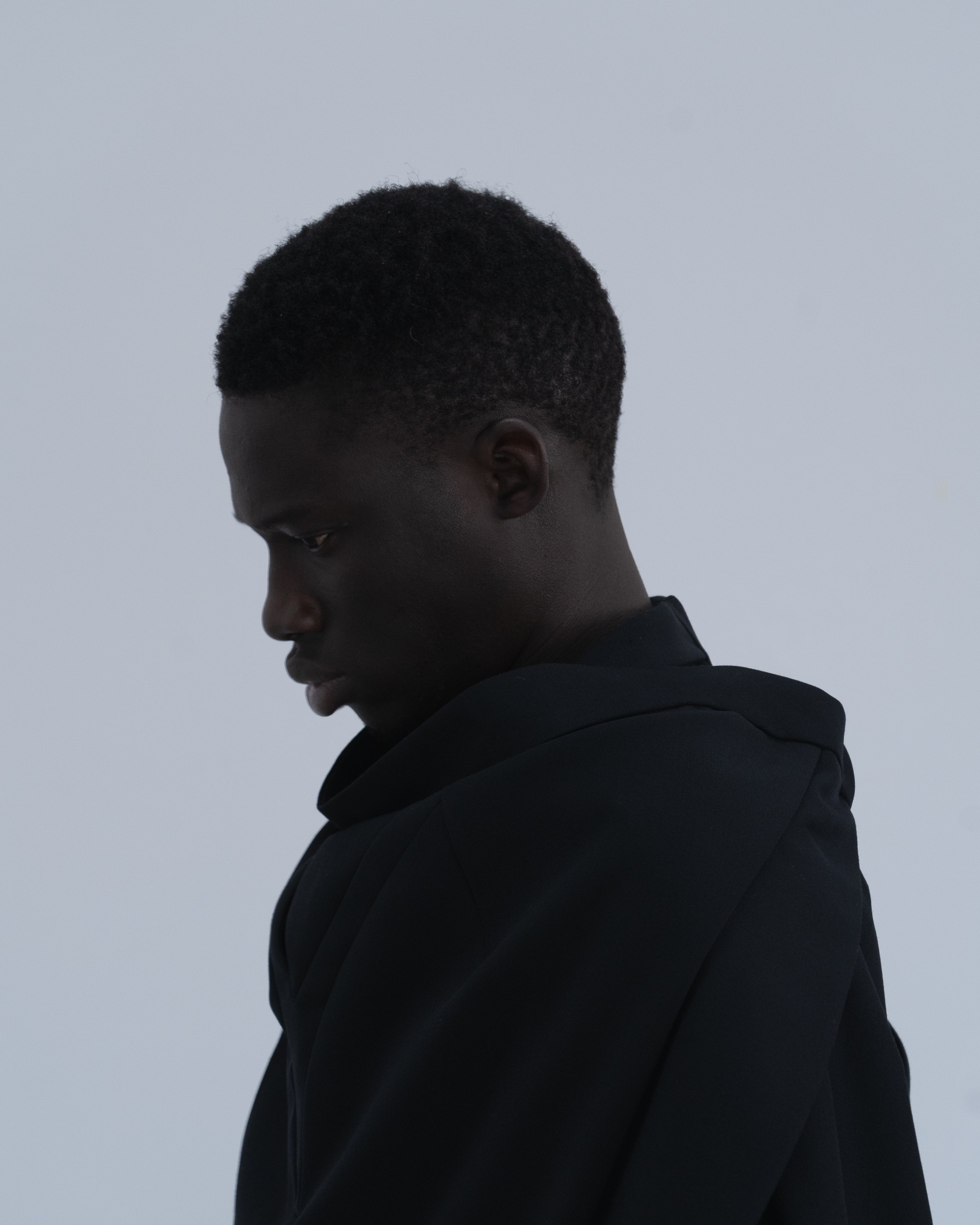 23ss – pet-tree-kor