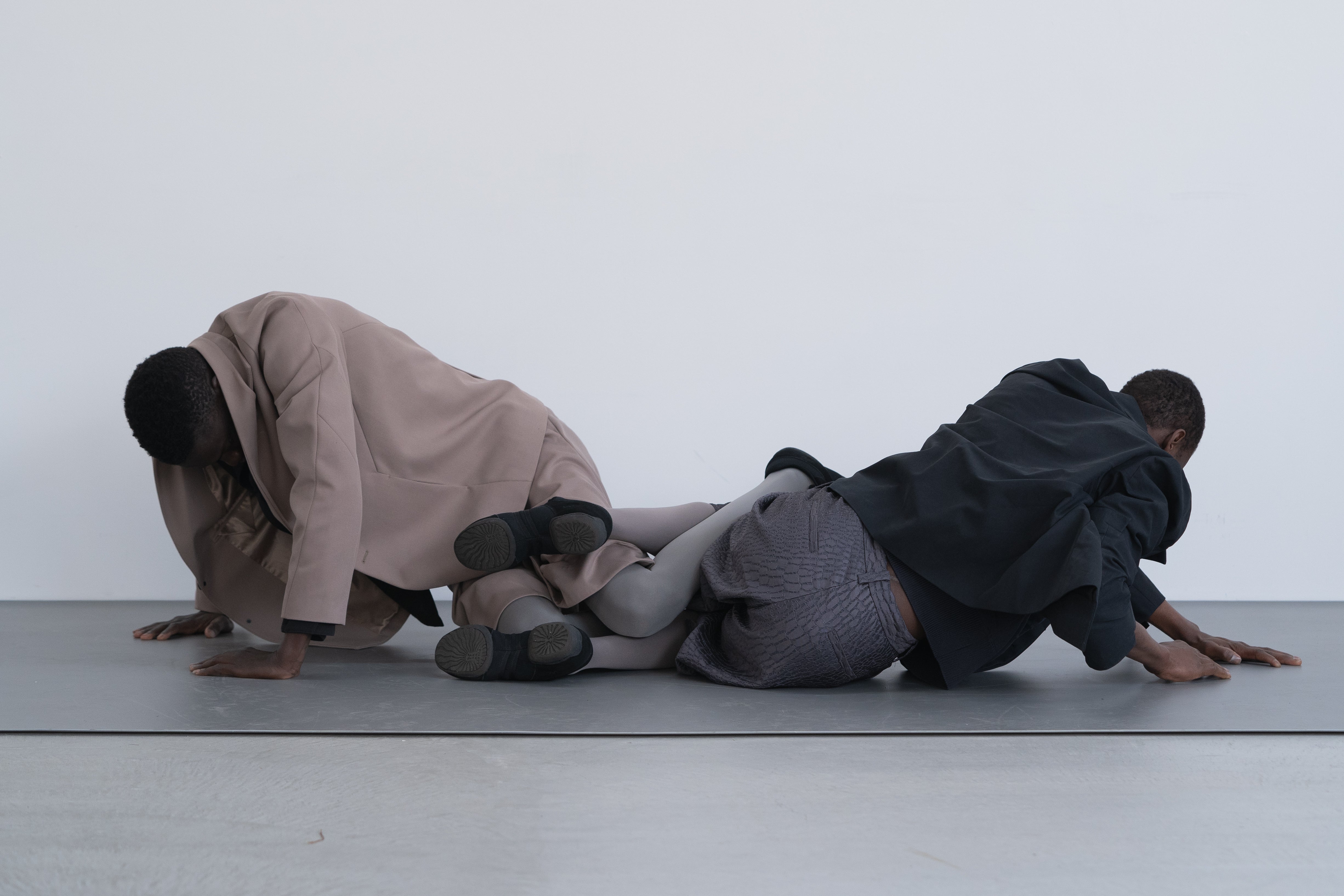 23ss – pet-tree-kor